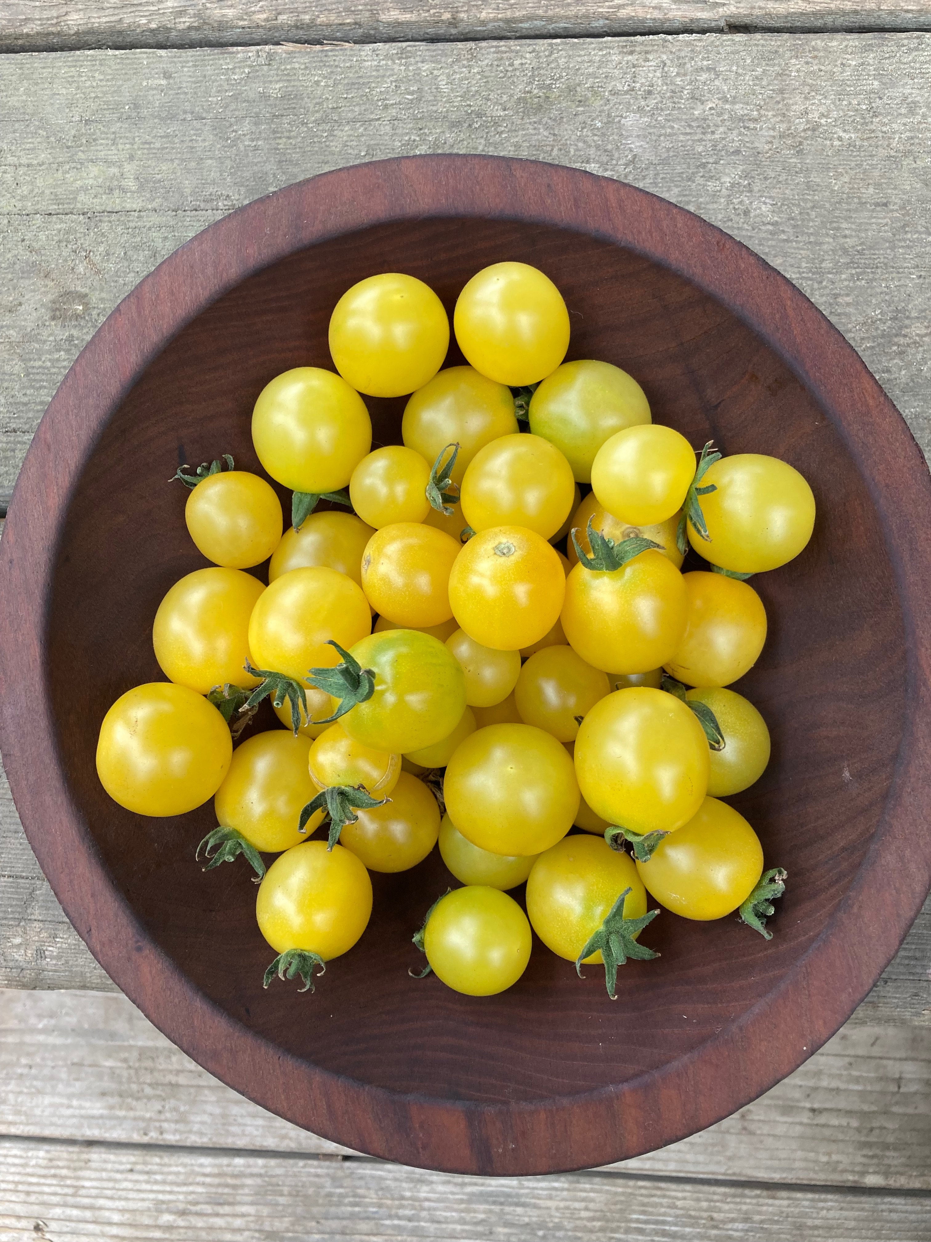 Snowberry Cherry Tomato (Organic) | Saltwater Seeds