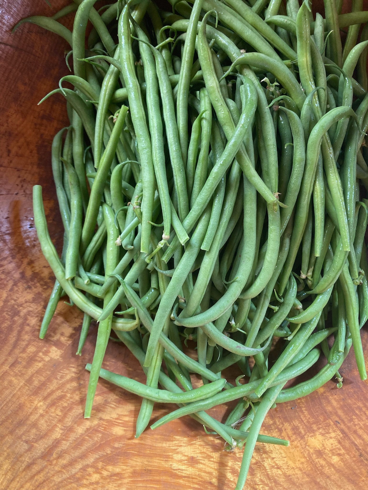 Hungarian Rice Snap Bean | Saltwater Seeds